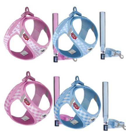 Curli Vest Harness with Curli Clasp Air Mesh & Leash for Dogs – PetHQ