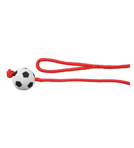 Trixie Football On a Rope Floatable Dog Toy – PetHQ